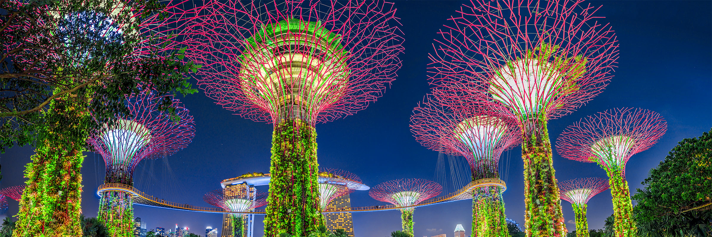 Ultimate guide to the OCBC Skyway at Gardens by the Bay - Headout Blog